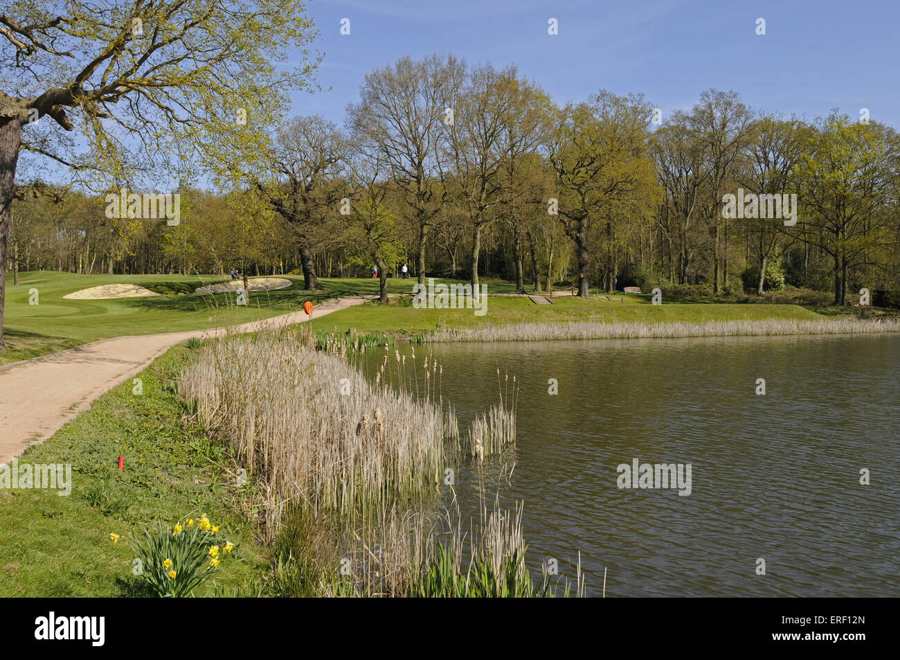 Thorndon park golf club brentwood essex england Banque de photographies ...