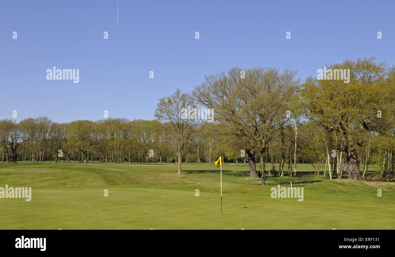 Thorndon park golf club brentwood essex england Banque de photographies ...