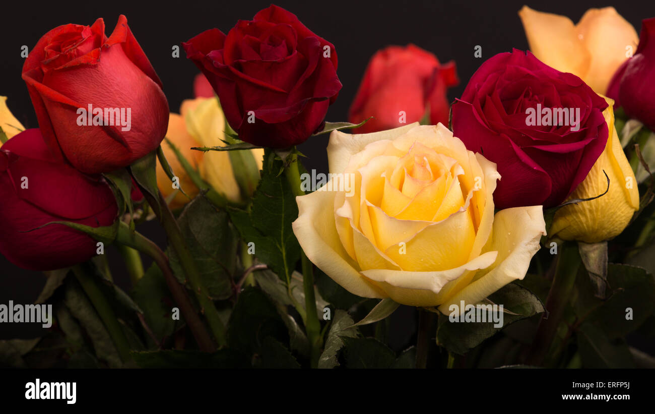 Bouquet de roses jaunes floral Banque de photographies et d’images à ...