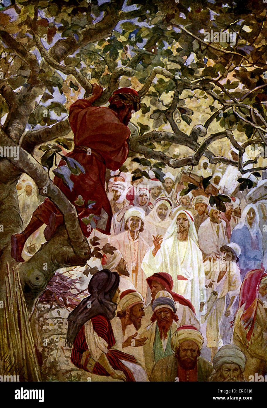 Jésus et Zachée. Zachée, publicain et pécheur, riches grimpe un arbre ...
