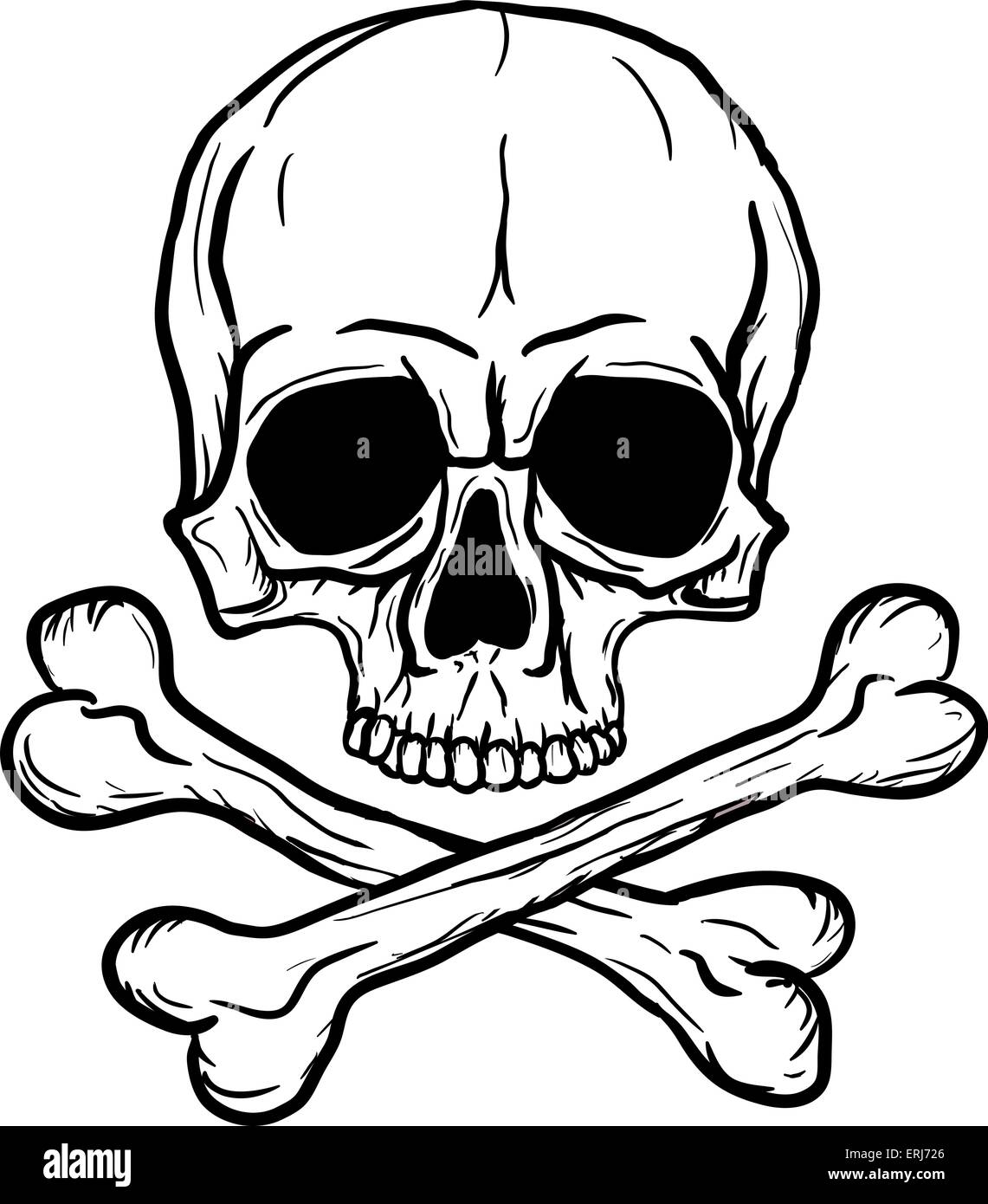 Tête de mort isolated over white background. Dessin à main levée Image ...