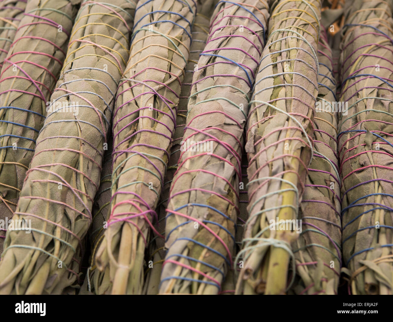 Bouquet de sauge Banque de photographies et d’images à haute résolution ...