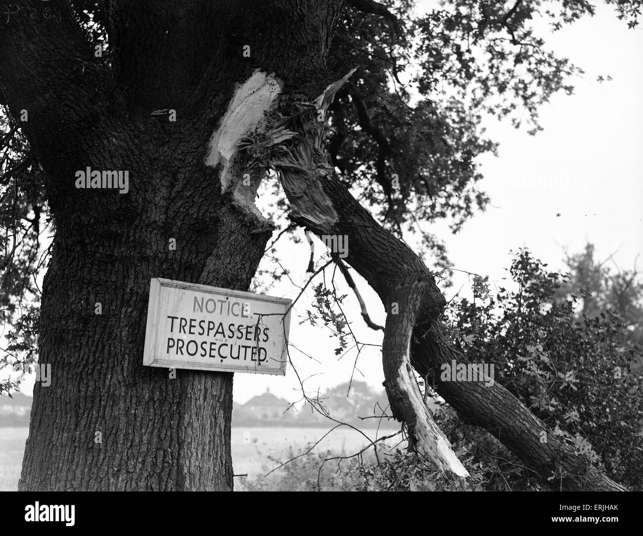 Les intrus seront poursuivis signe Banque d'images noir et blanc - Alamy