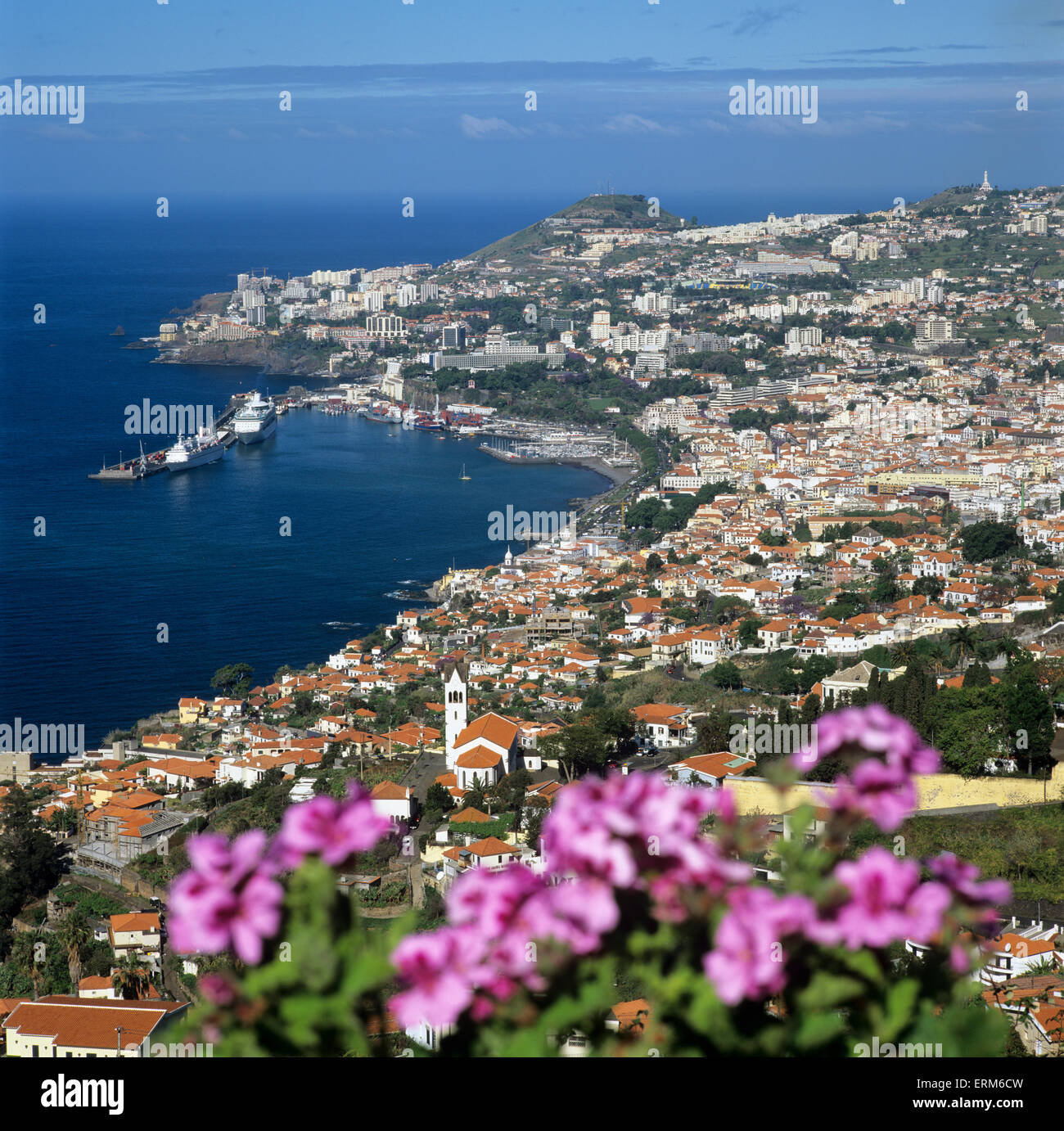 Funchal madeira portugal Banque de photographies et d’images à haute ...