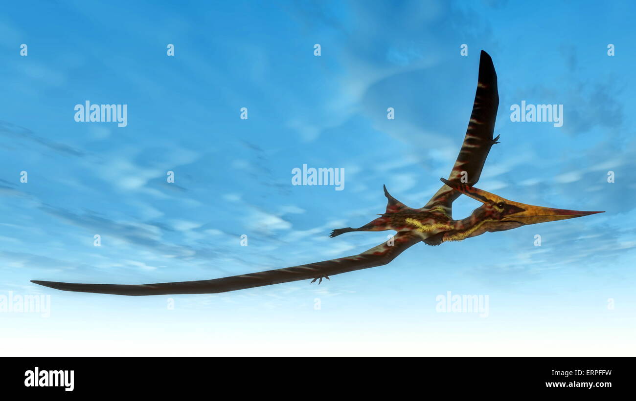 Pteranodon pterosaur Banque de photographies et d’images à haute résolution - Alamy