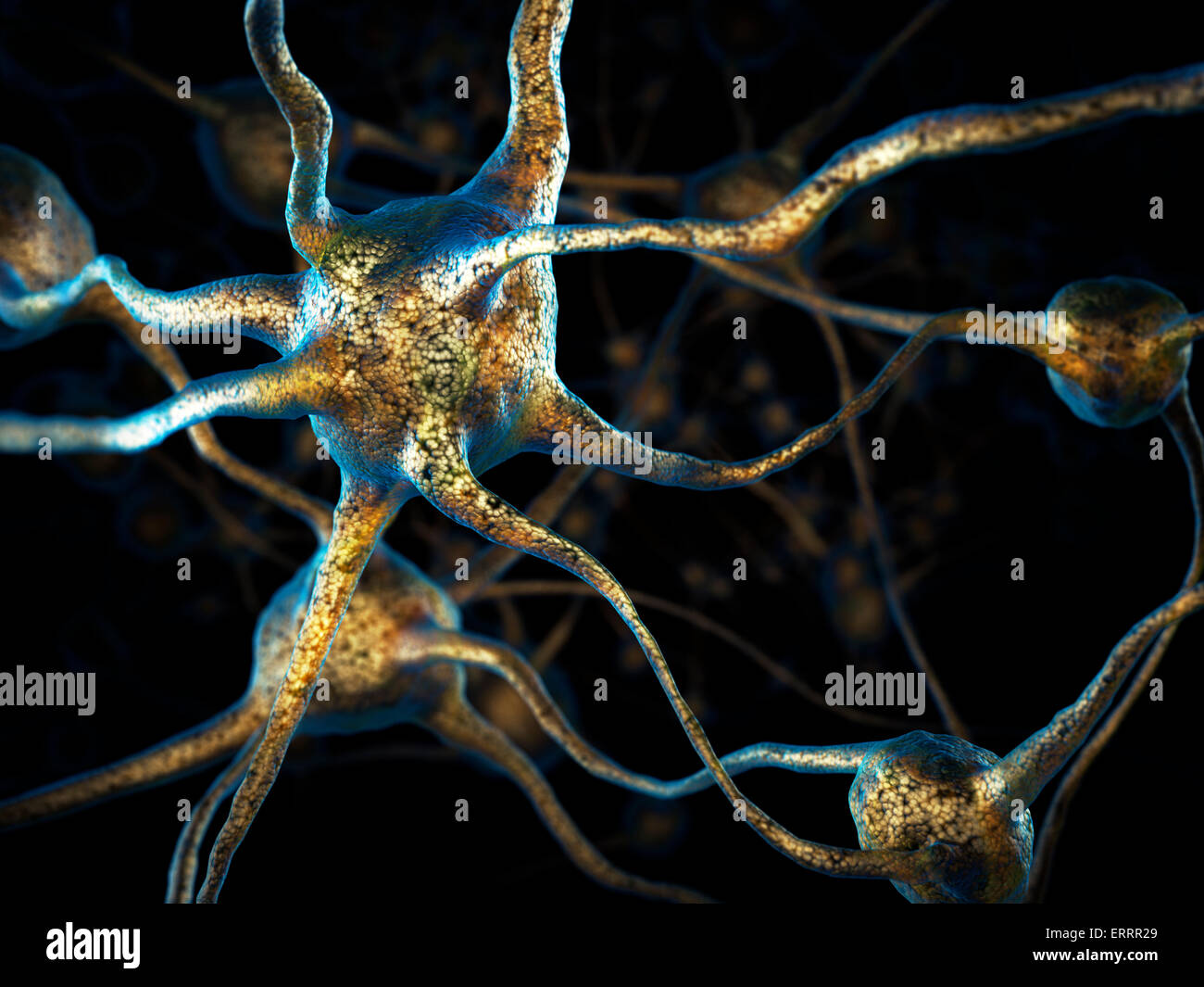 Neurone du cerveau Banque de photographies et d’images à haute ...