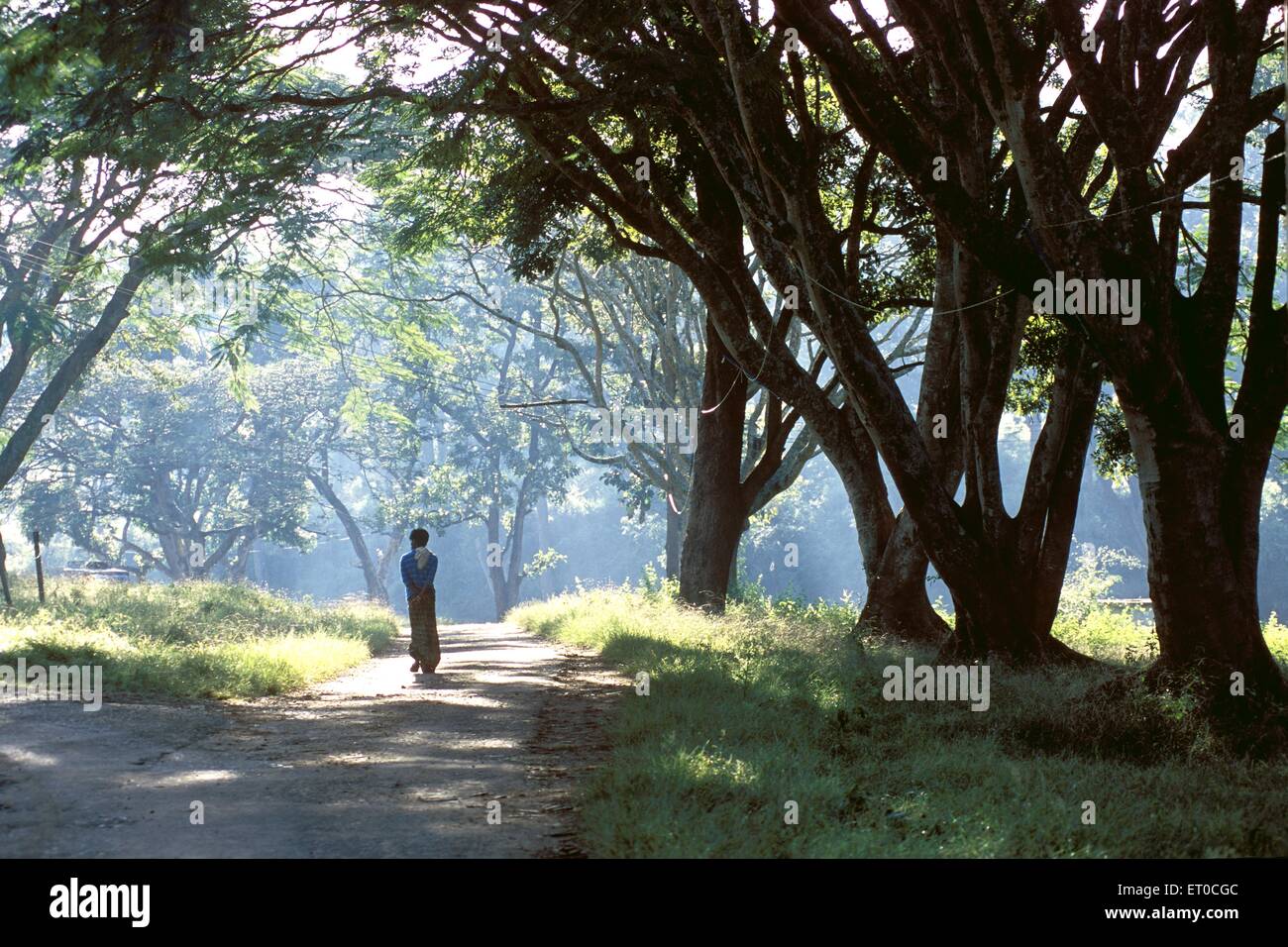 Wildlife sanctuary in india Banque de photographies et d’images à haute ...