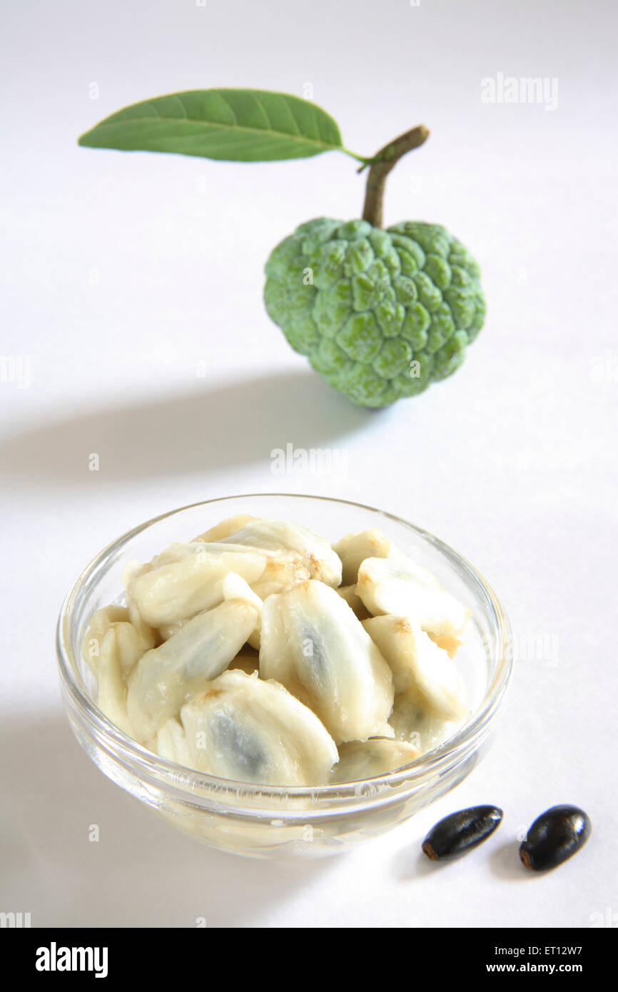 Sitaphal ; fruits sharifa ou anone ; Inde Photo Stock - Alamy