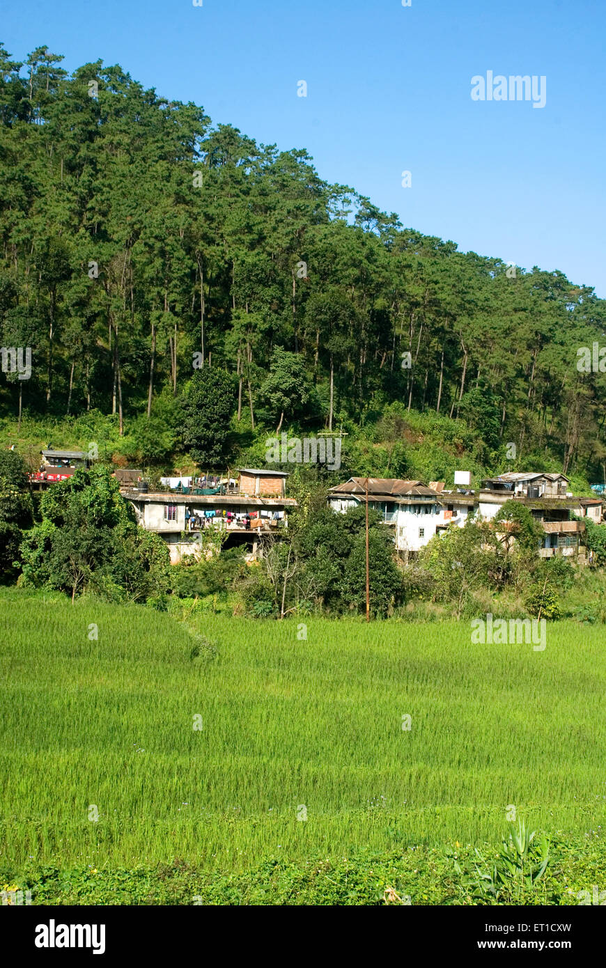 Meghalaya india Banque de photographies et d’images à haute résolution ...