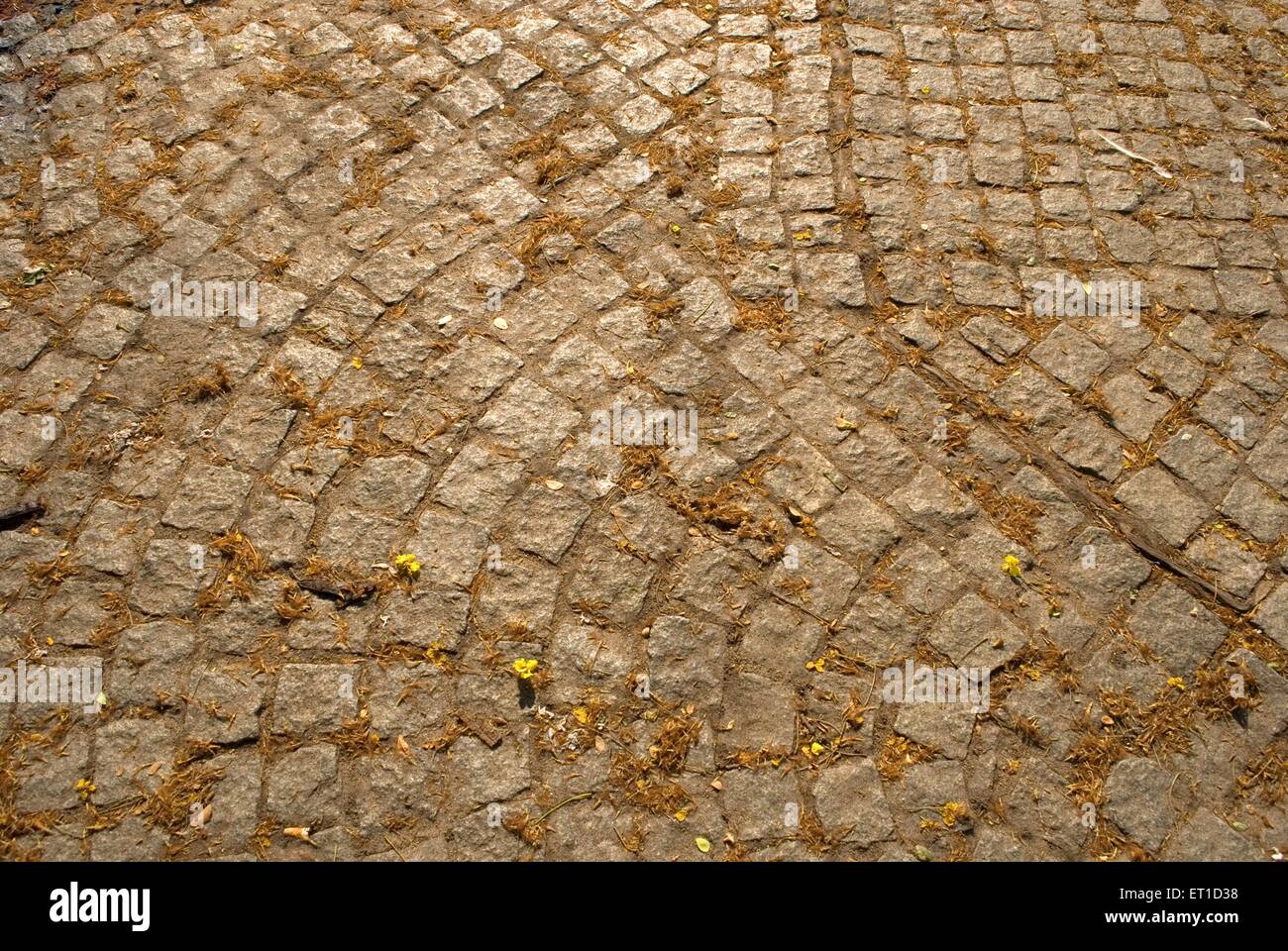Dalles de sol en pierre Banque de photographies et d’images à haute ...