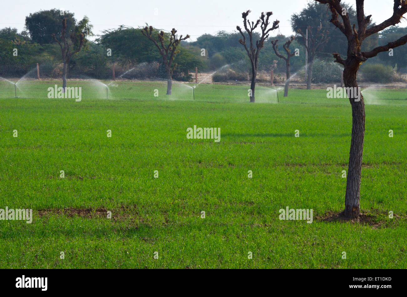 Rajasthan irrigation Banque de photographies et d’images à haute ...