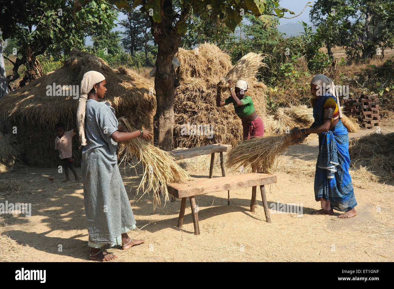 Battage à la main Banque de photographies et d’images à haute ...