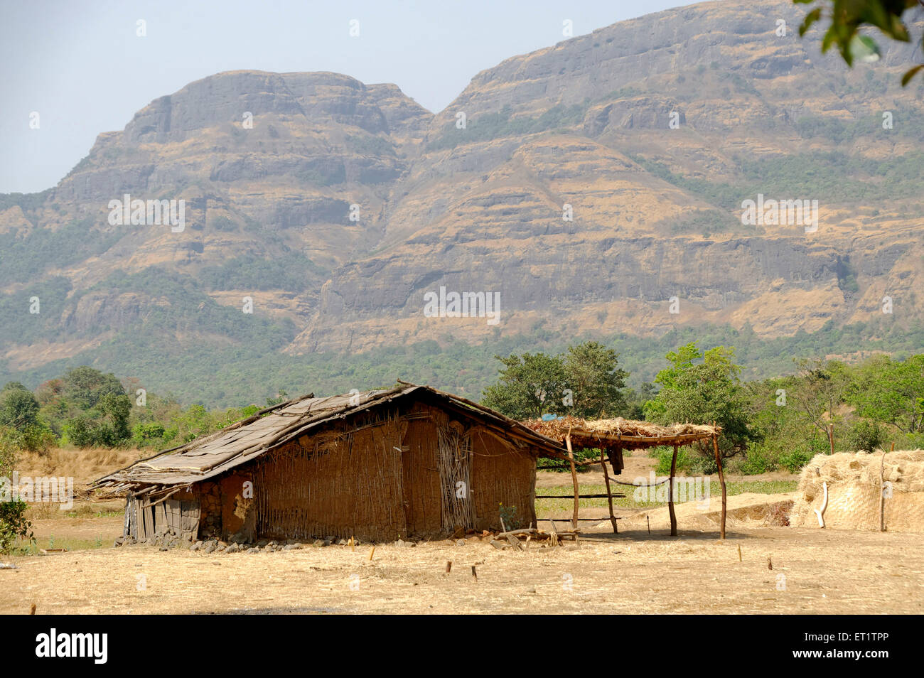 India village huts Banque de photographies et d’images à haute ...