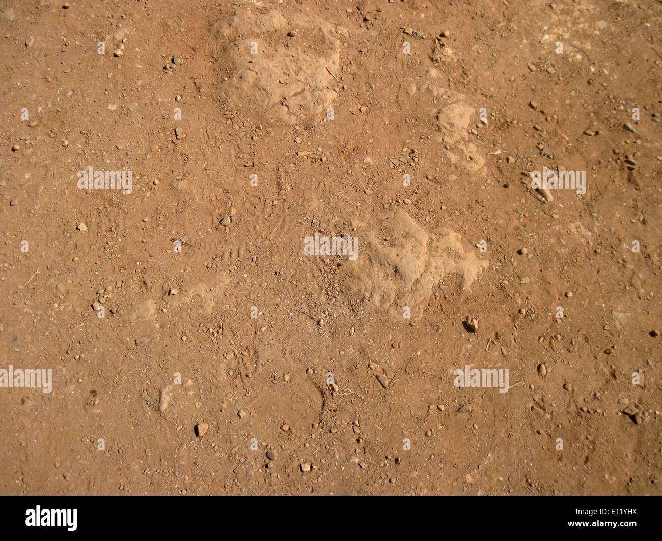 Sol terre rouge Banque de photographies et d’images à haute résolution ...