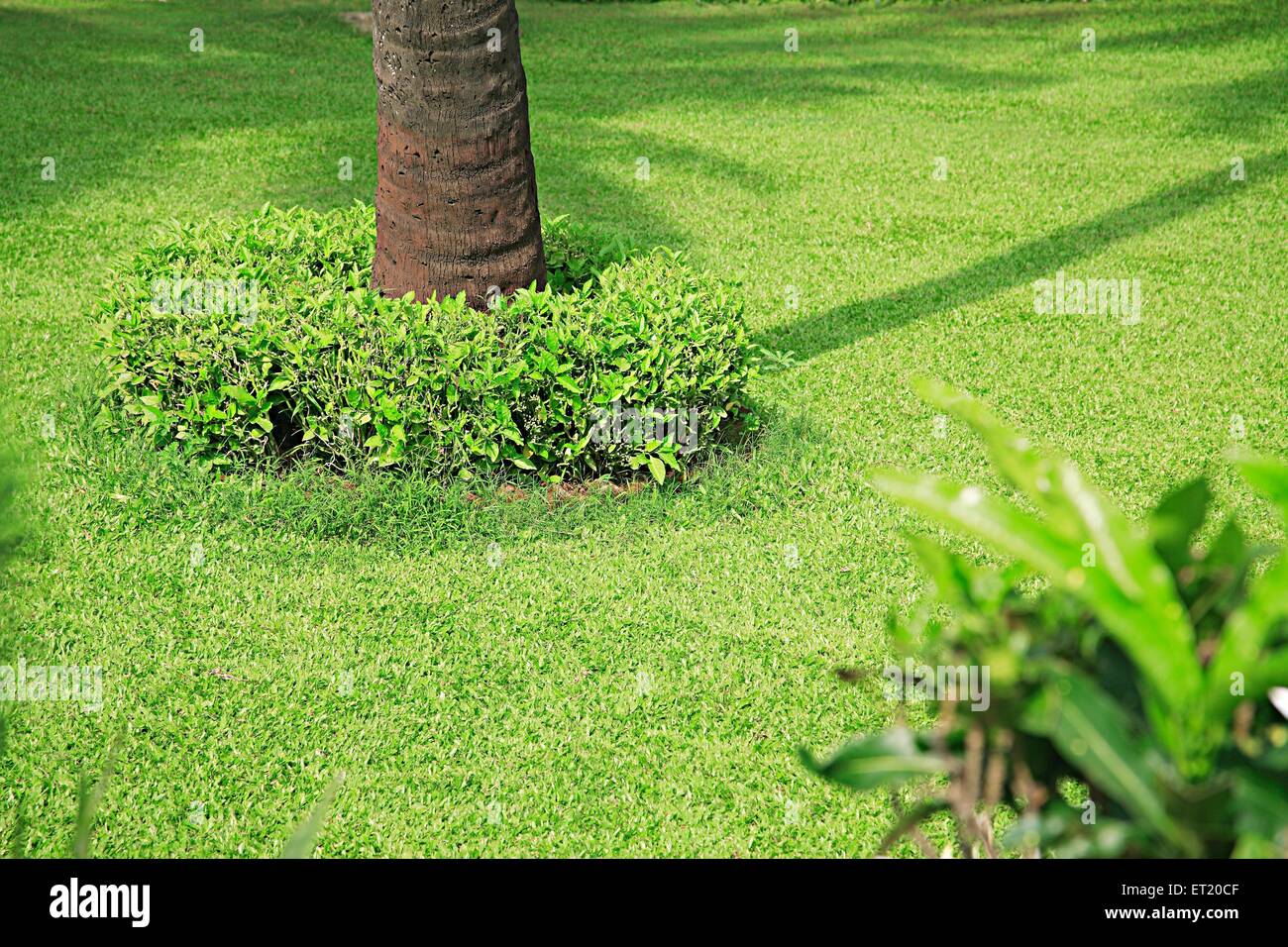 Jawahar Bal Bhavan park Netaji Subhash Chandra Bose ; ; route ; route ...