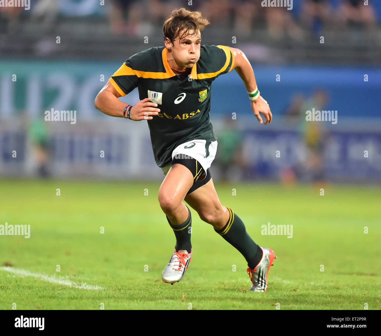 Baby springboks rugby Banque de photographies et d’images à haute ...
