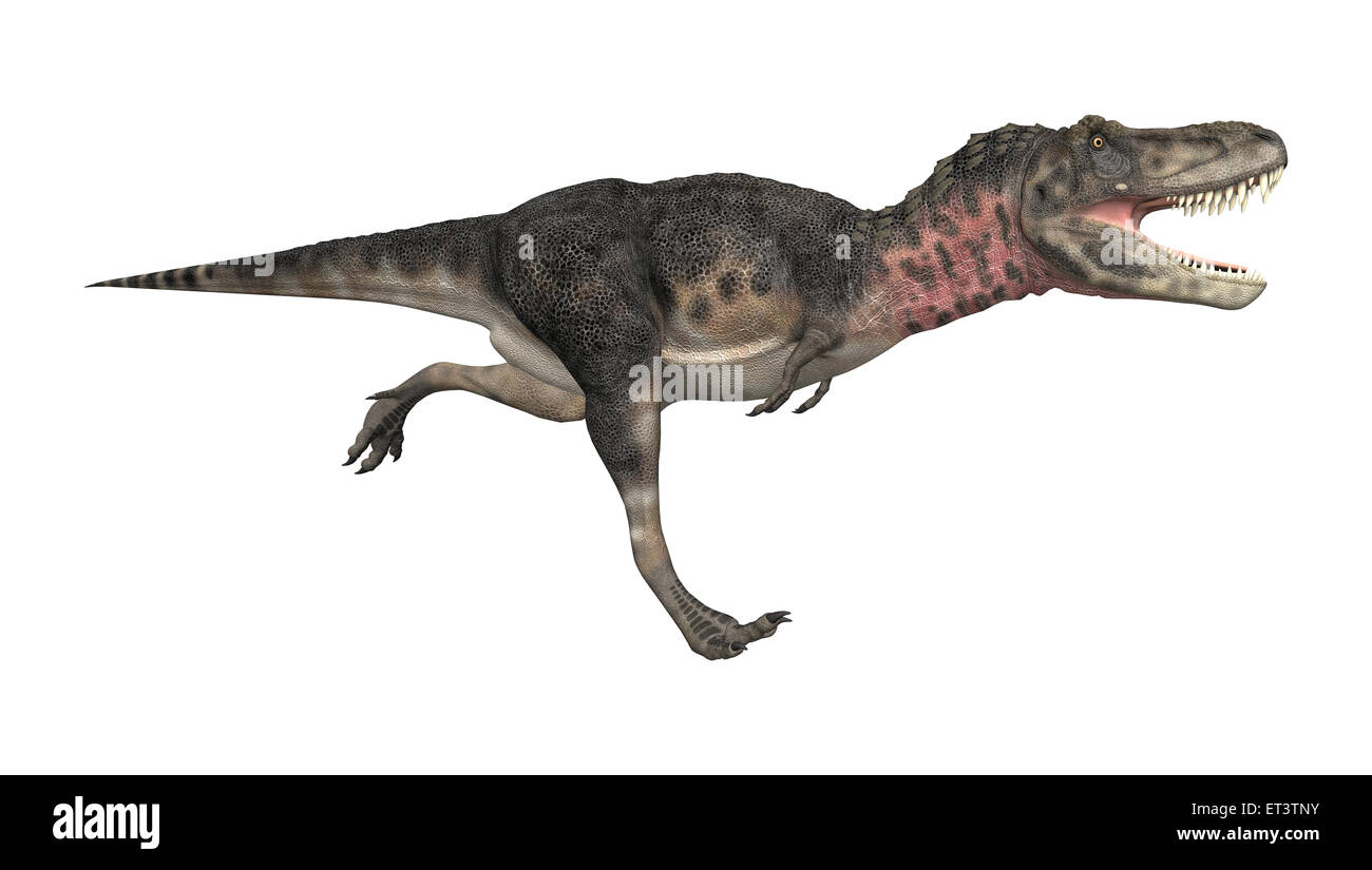 Tarbosaurus 3d Banque de photographies et d’images à haute résolution ...