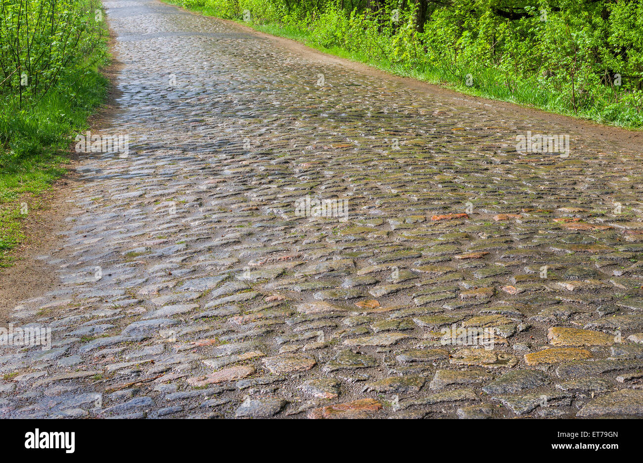 Cobblestoned road Banque de photographies et d’images à haute ...