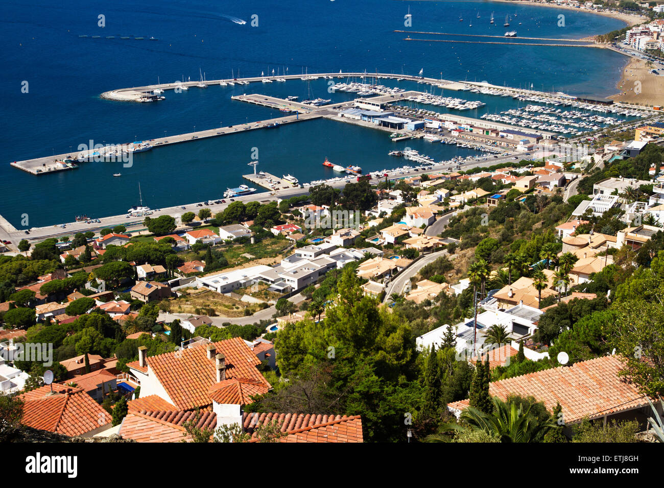 Golfe de roses Banque de photographies et d’images à haute résolution ...