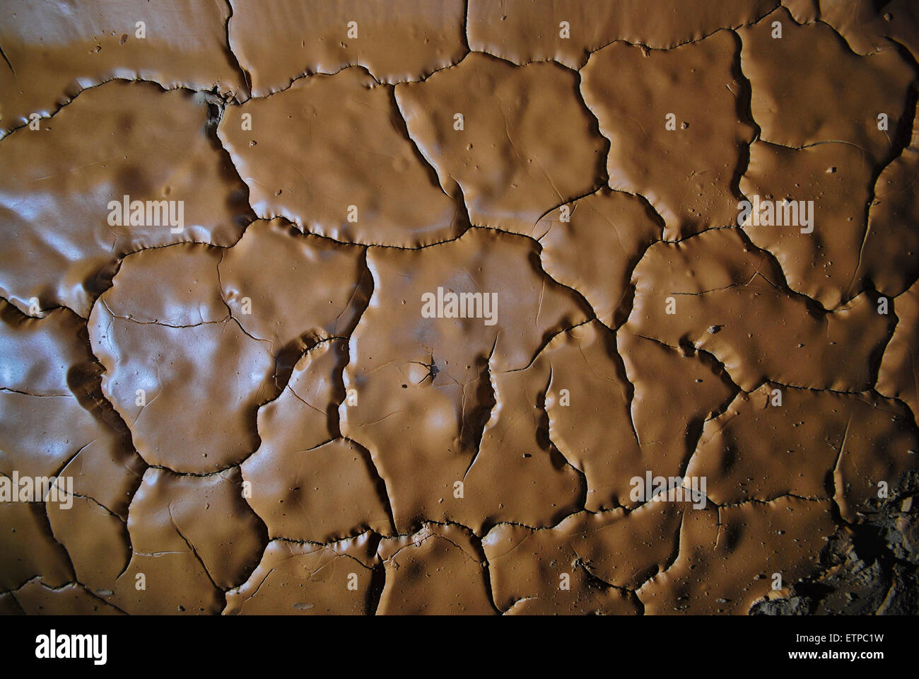 Formation argileuse avec fissures de dessiccation dans une grotte Photo ...
