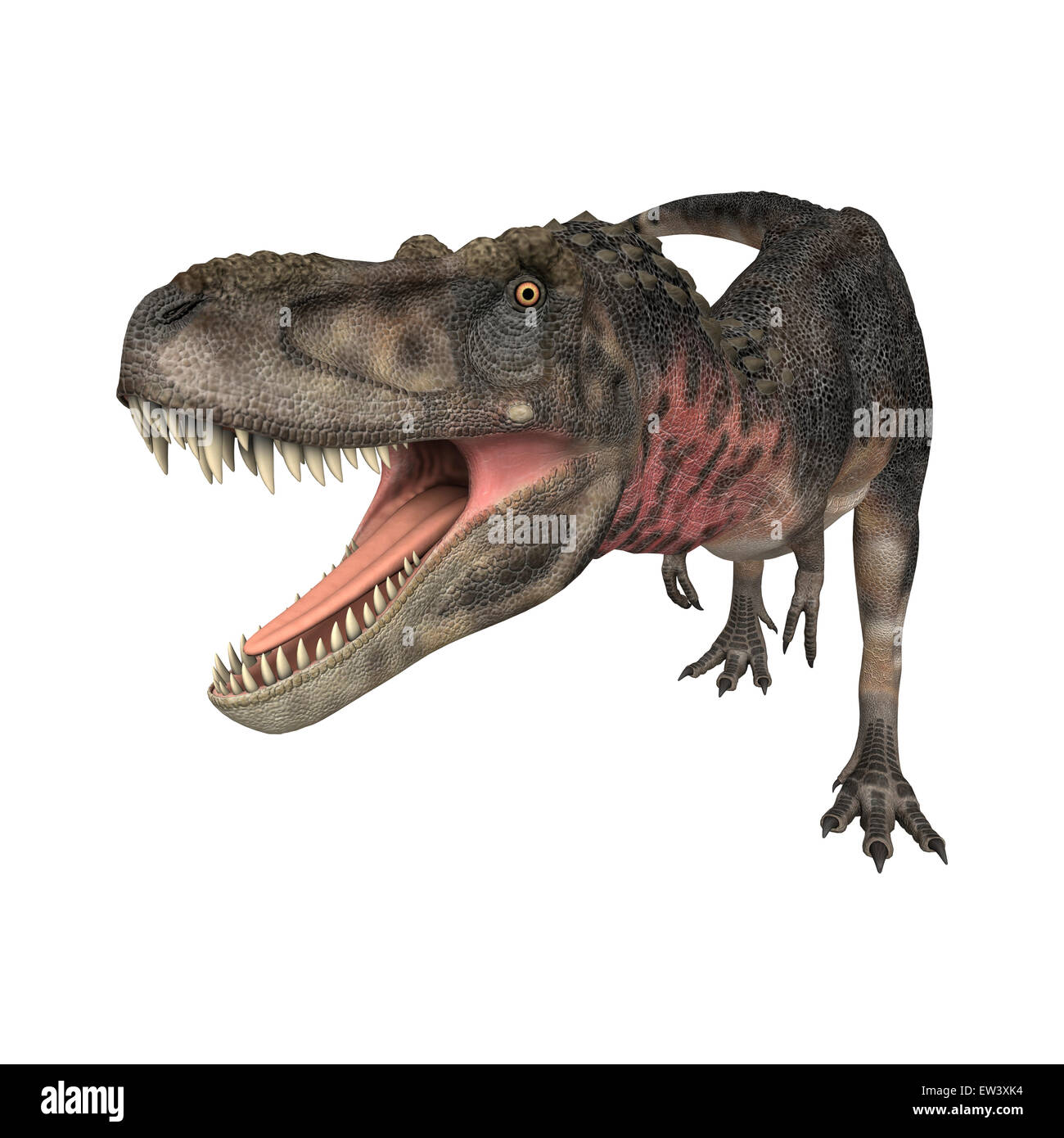 Tarbosaurus 3d Banque de photographies et d’images à haute résolution ...