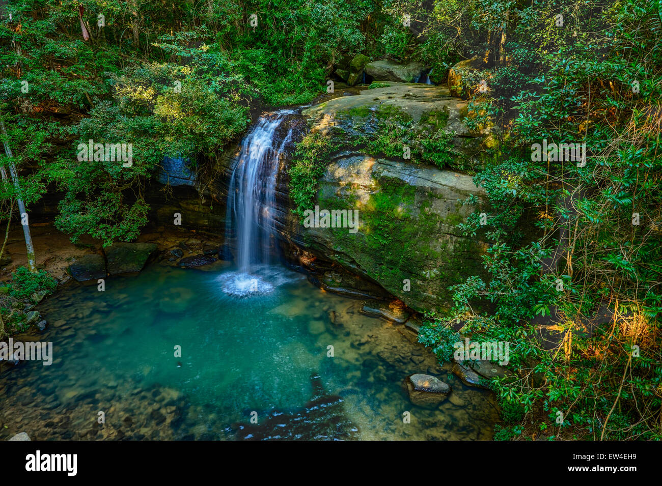 Cascade de buderim Banque de photographies et d’images à haute ...