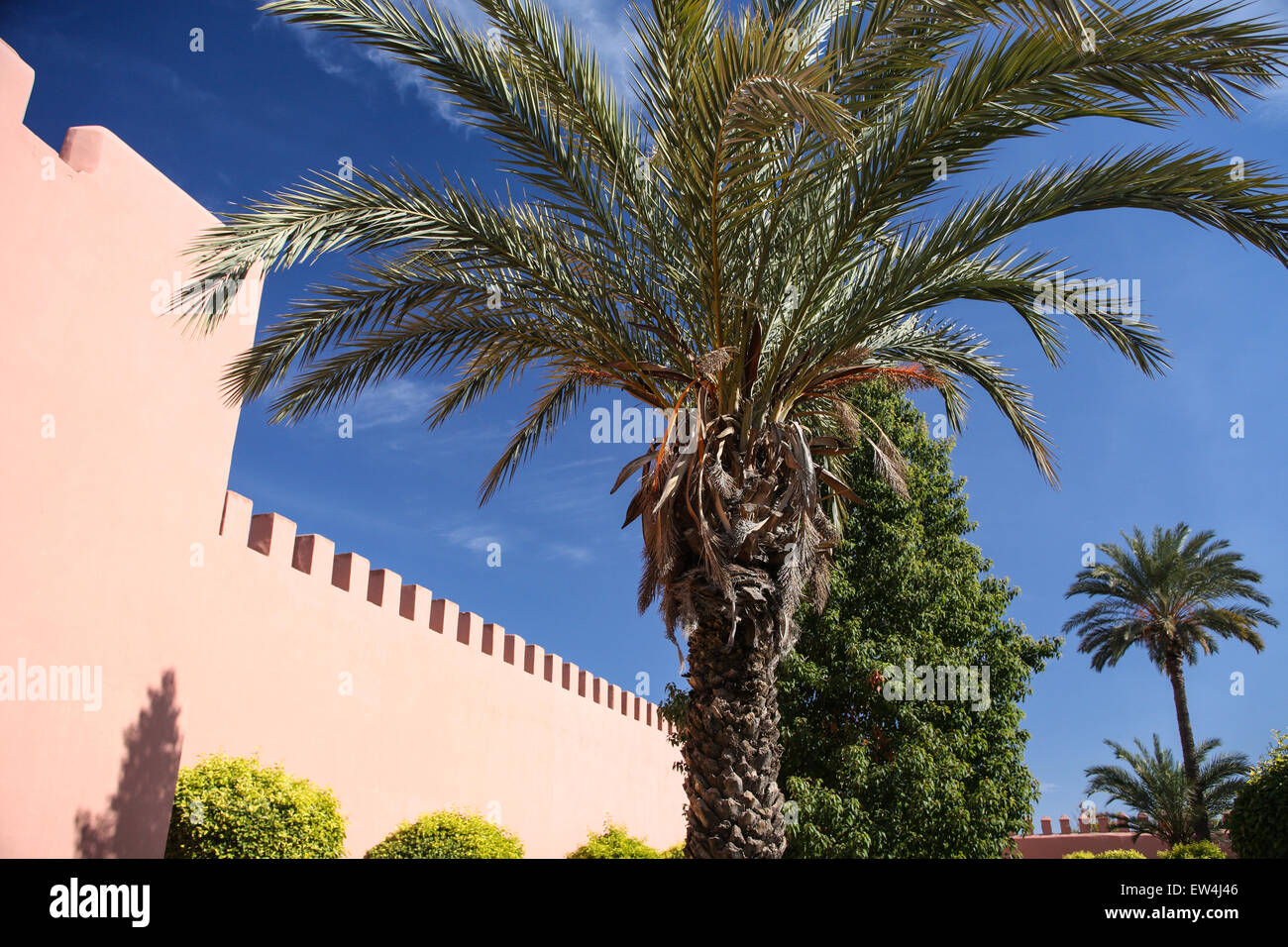 Mur et jardin du Palais Royal de Marrakech/Marrakech, Maroc, Afrique ...