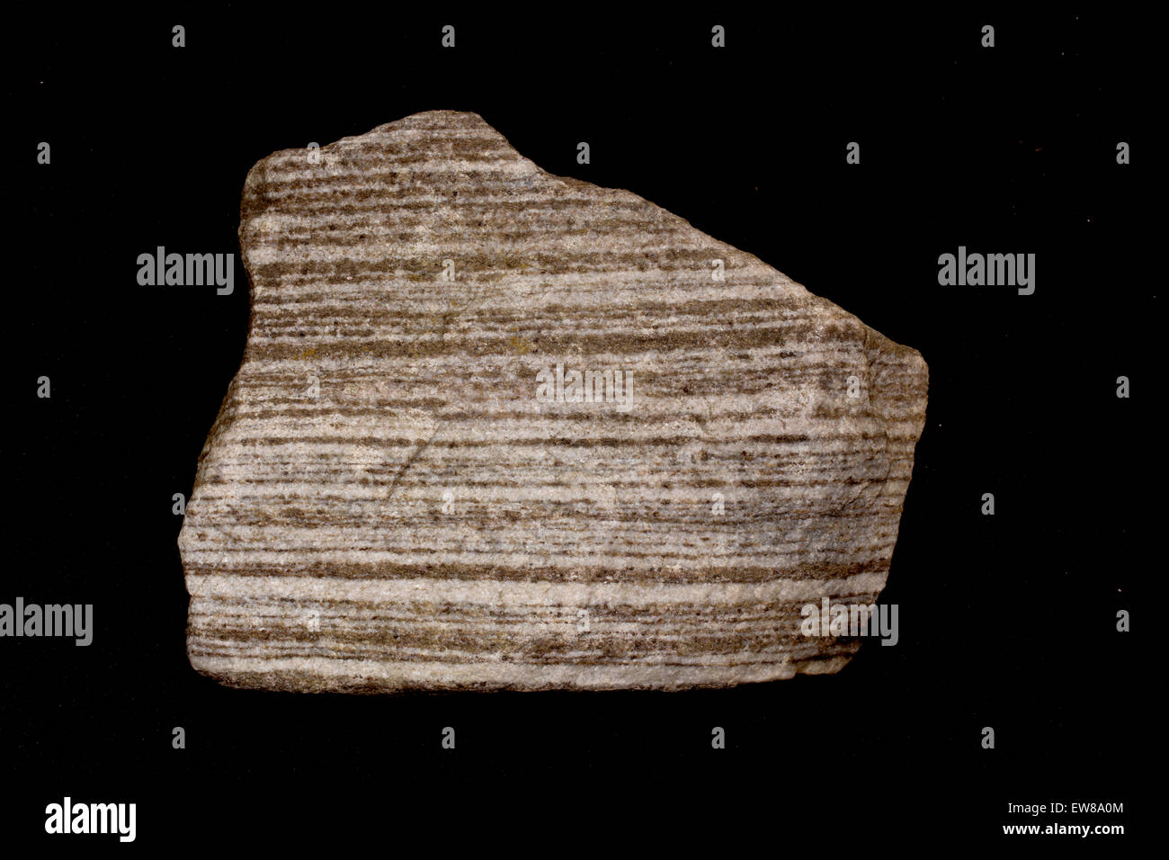 Metamorphic rock gneiss Banque de photographies et d’images à haute ...