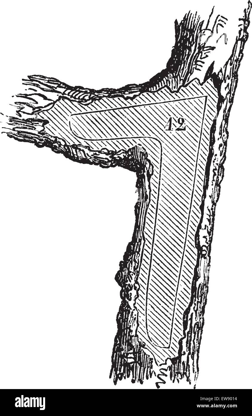 Utilisation dans la construction navale Banque d'images vectorielles ...