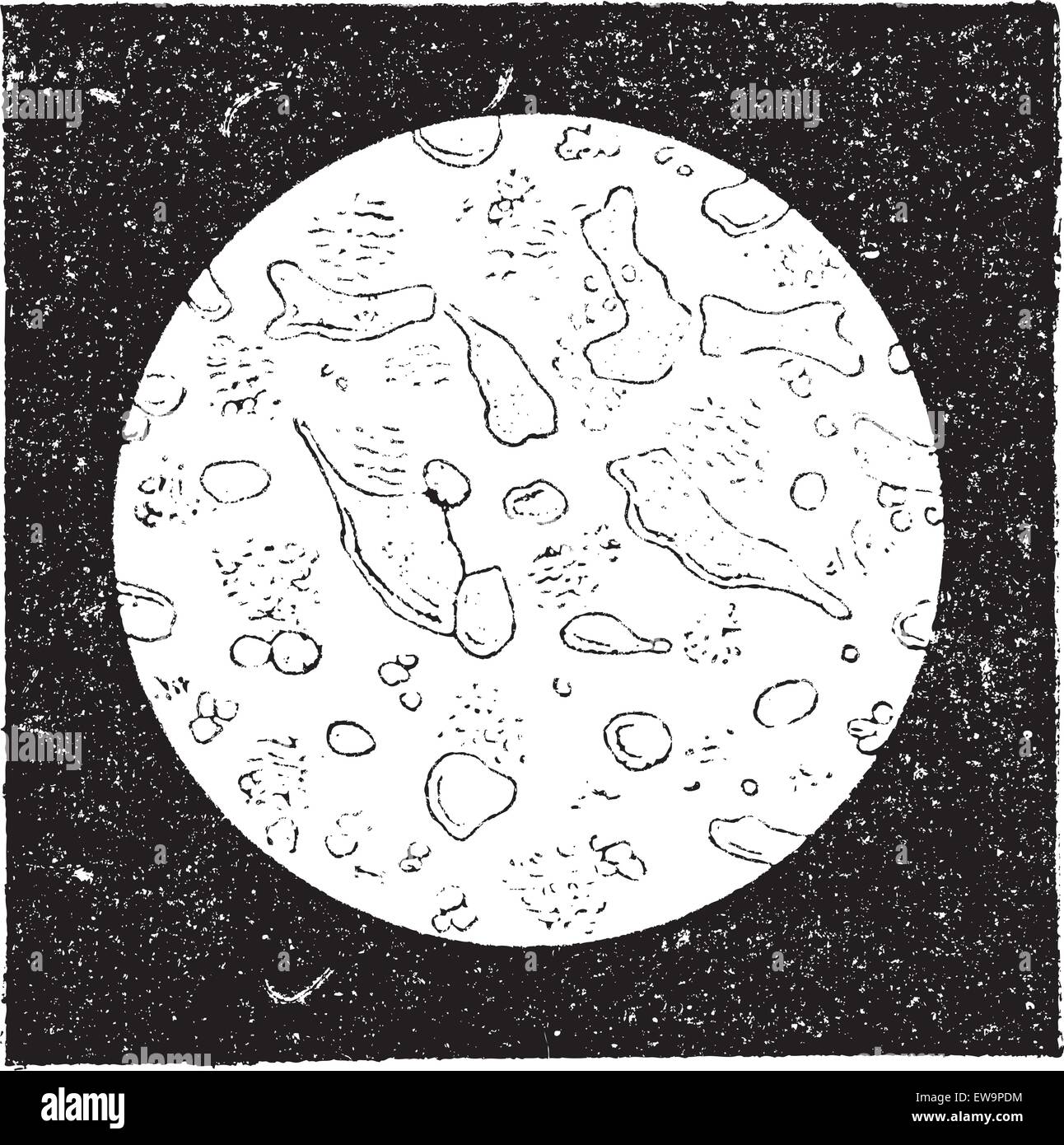 Test De Lait Banque d'images vectorielles - Alamy