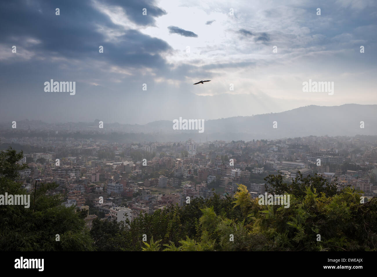 Grand immeuble Banque de photographies et d’images à haute résolution ...