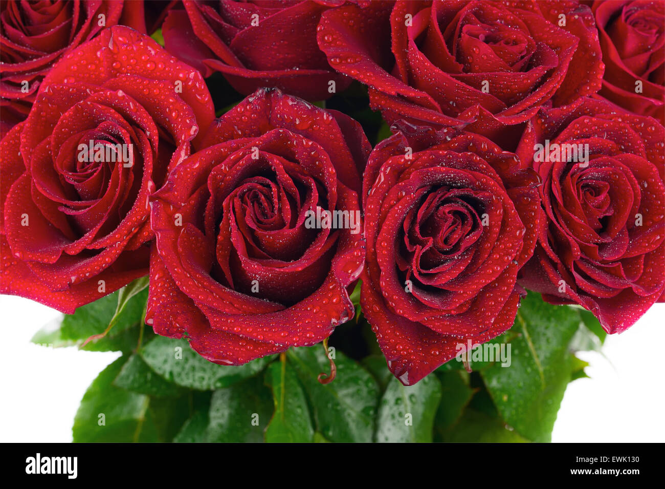 Bouquet de fleurs colorées de roses rouges pour l'utiliser comme ...