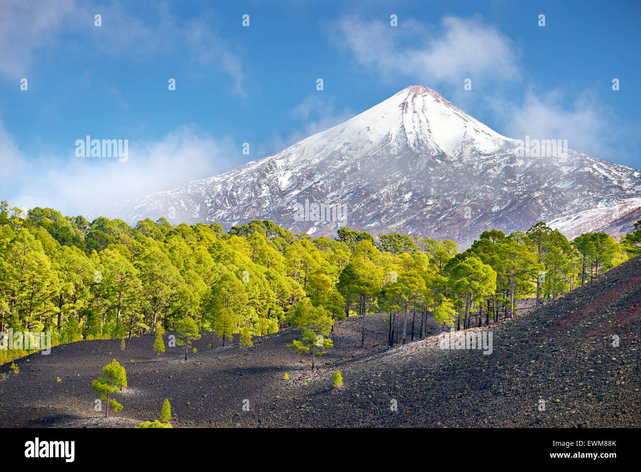 Teide volcan de tenerife Banque de photographies et d’images à haute ...