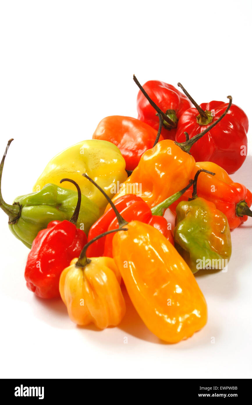 Piment habanero Banque de photographies et d’images à haute résolution ...