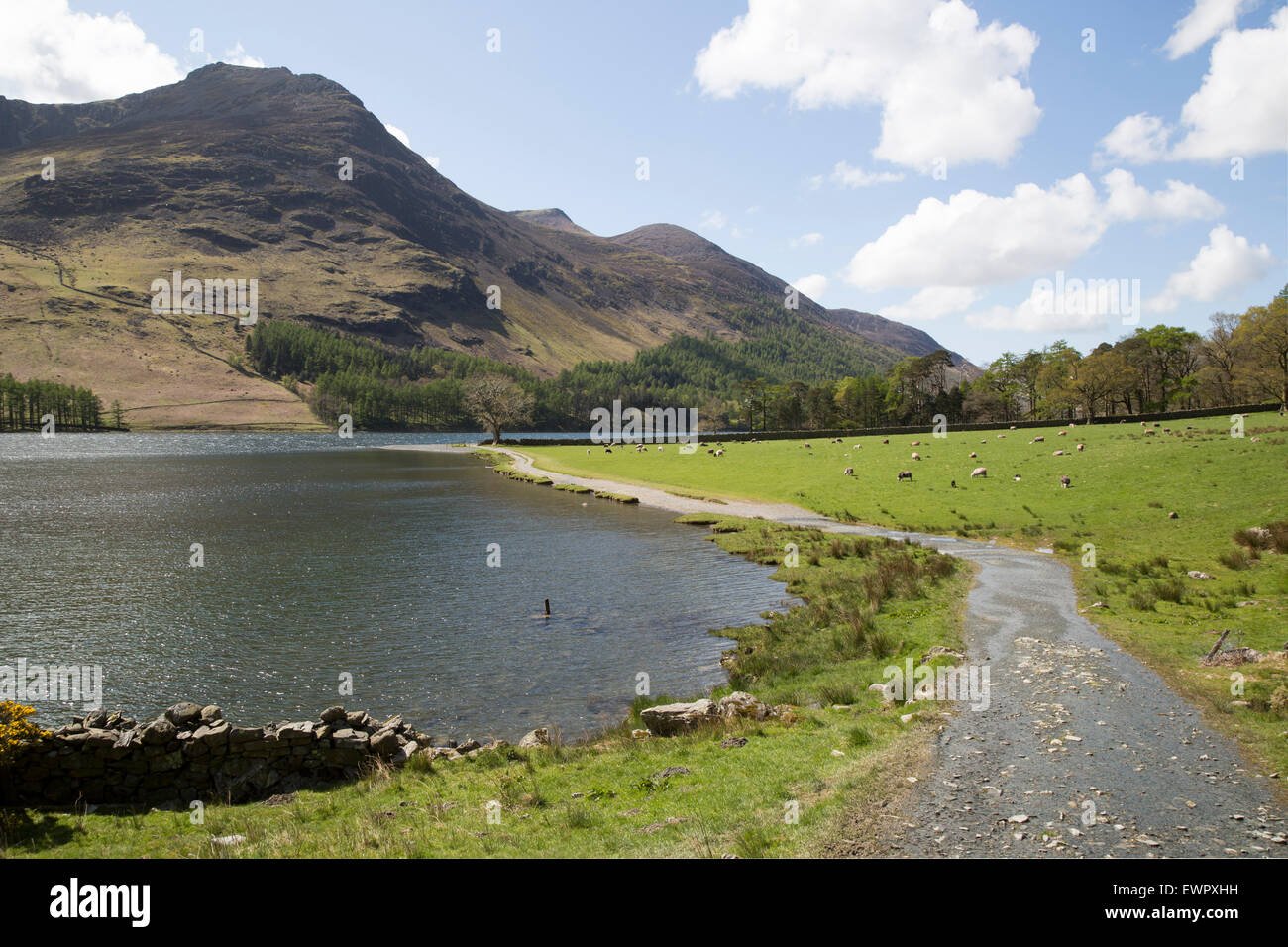 Chemin autour du lac buttermere Banque de photographies et d’images à ...