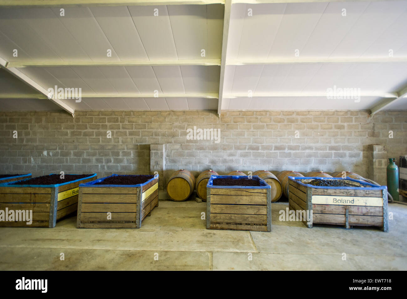 Production de raisins Banque de photographies et d’images à haute ...