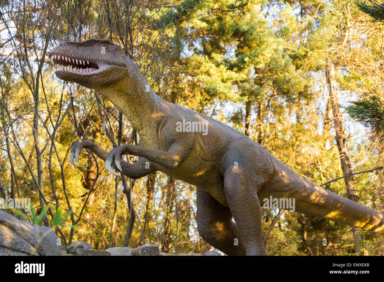 Dinosaure redoutable Banque de photographies et d’images à haute résolution - Alamy