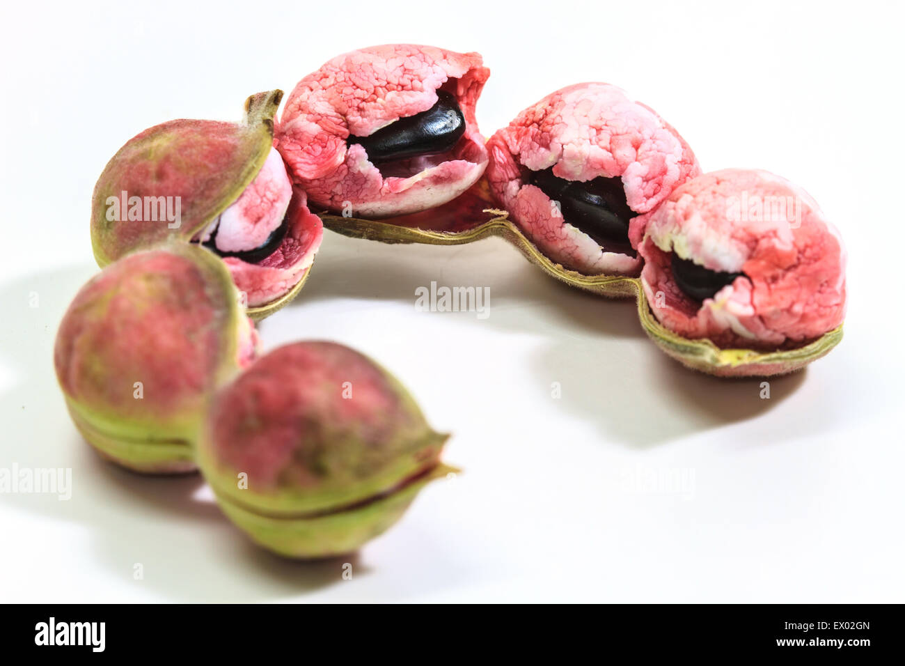 Tamarind fruits Banque de photographies et d’images à haute résolution ...