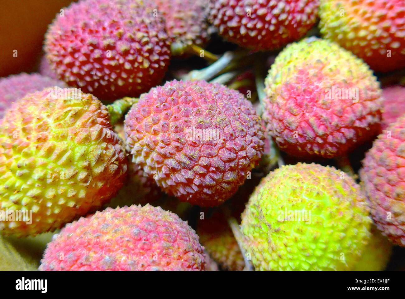 Lychee plant Banque de photographies et d’images à haute résolution - Alamy