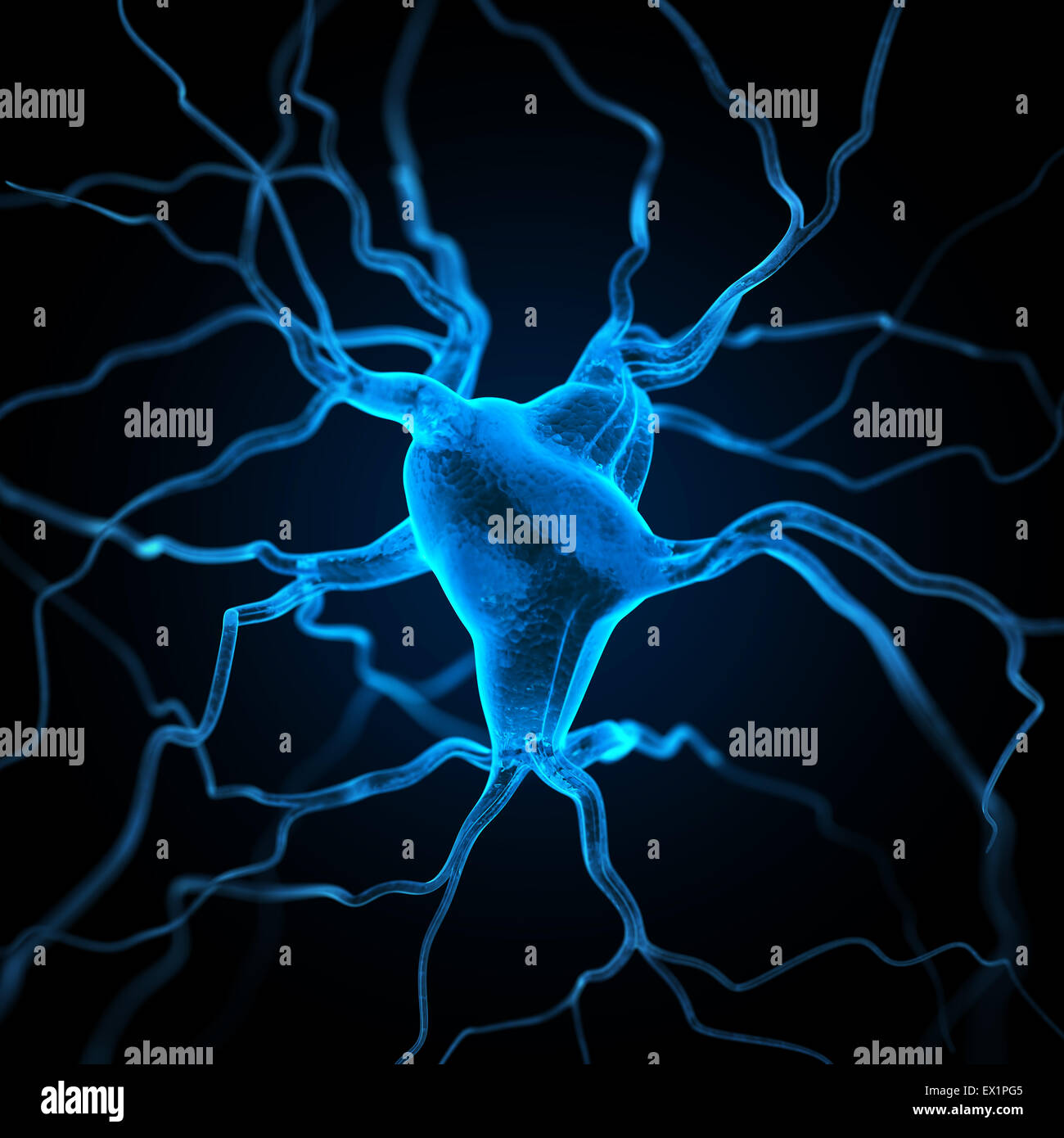 Anatomie de la synapse neuronale Banque de photographies et d’images à ...
