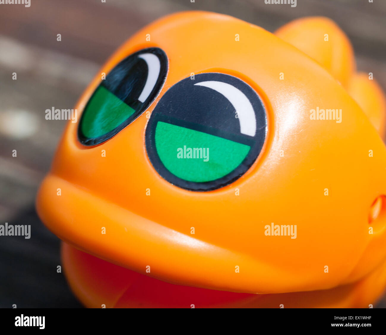 Bébés poissons clowns Banque de photographies et d’images à haute ...