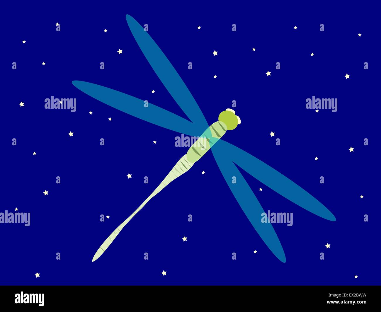 Insecte volant de nuit Banque d'images vectorielles - Alamy