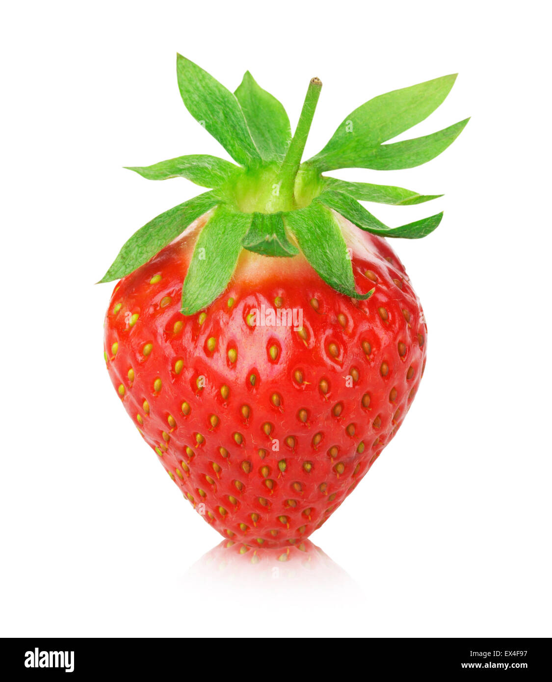 Fraise sur fond blanc Banque de photographies et d’images à haute ...