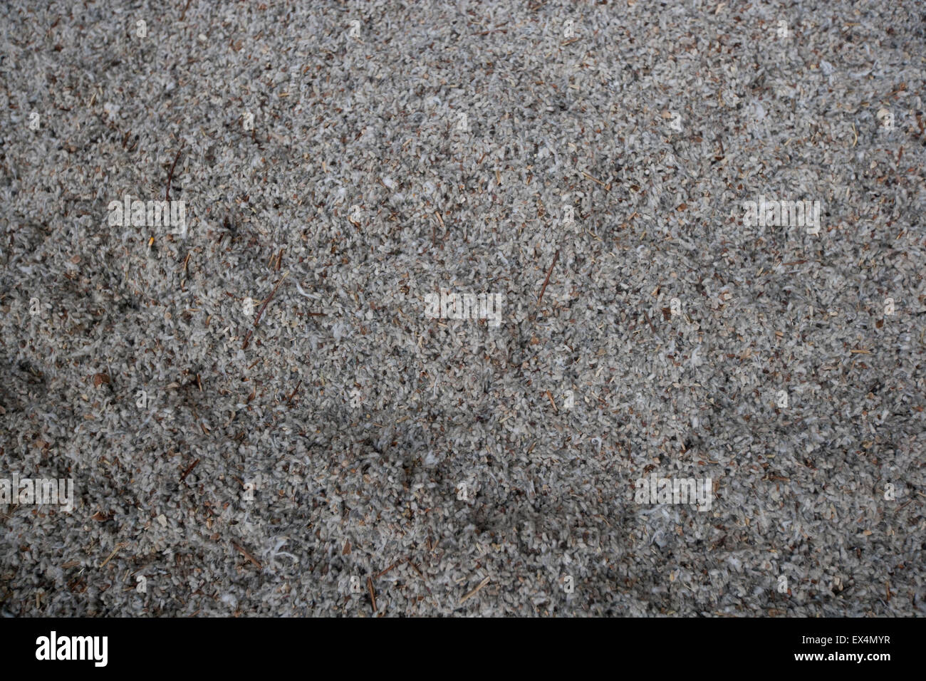 Tourteau de coton Banque de photographies et d’images à haute ...