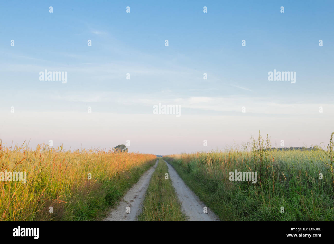 Chemin de terre dans les champs Banque de photographies et d’images à ...