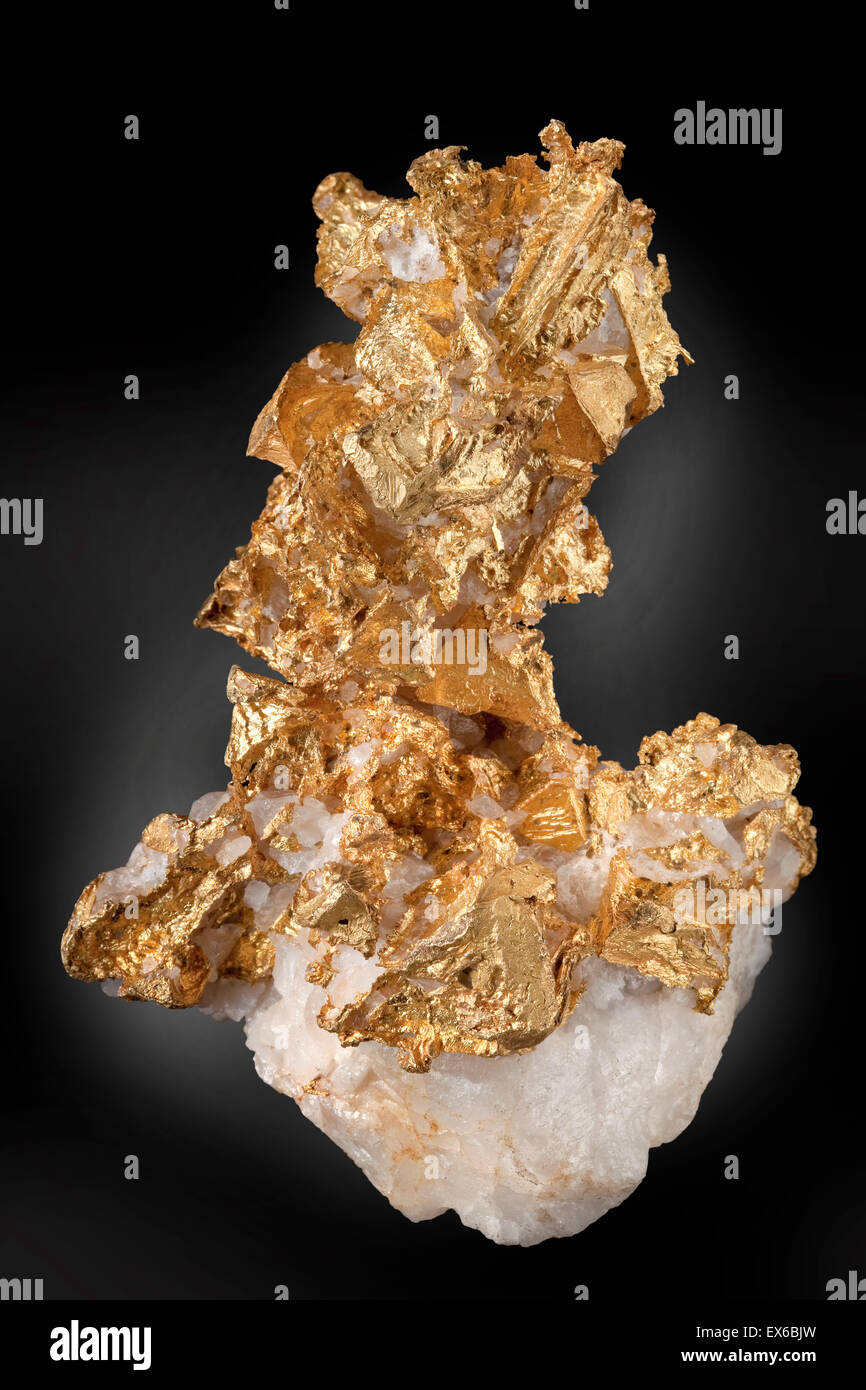Native Gold On Quartz Banque d'image et photos - Alamy