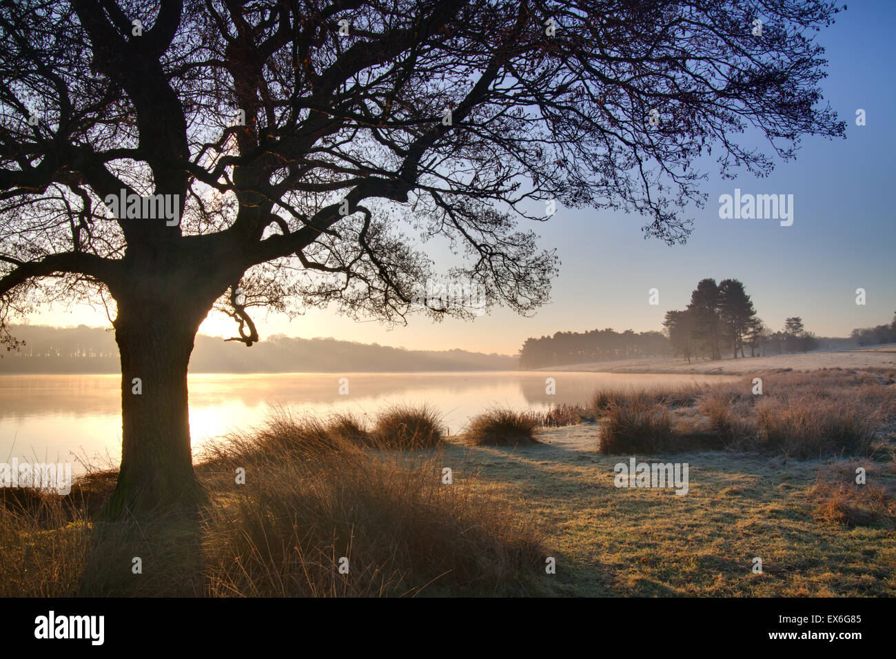 Tatton mere Banque de photographies et d’images à haute résolution - Alamy