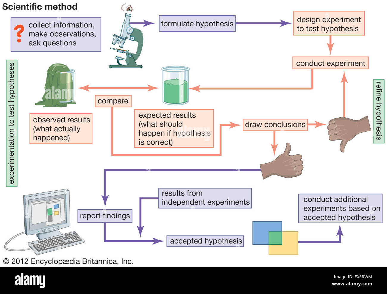 Diagramme de la méthode scientifique Photo Stock - Alamy