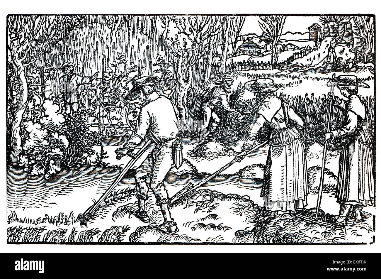 Agriculture du 16ème siècle Banque de photographies et d’images à haute ...