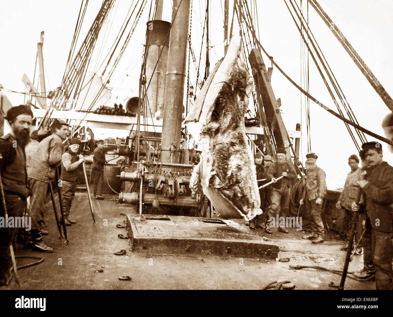Chasse aux baleines groenland Banque de photographies et d’images à ...